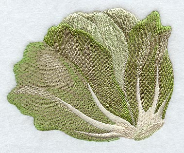 Cabbage – Embroidery Library