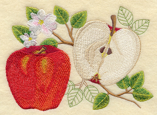 Apple Botanical – Embroidery Library