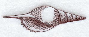 Martin's Tibia Seashell (Toile) – Embroidery Library
