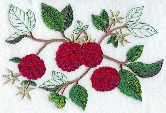 Raspberry Botanical – Embroidery Library