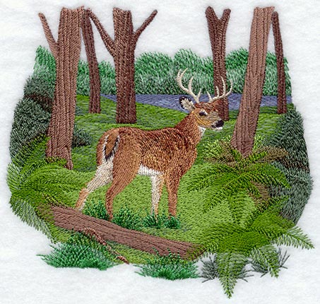 Seasons Whitetail Deer - Summer – Embroidery Library