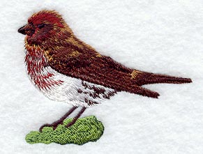 Purple Finch – Embroidery Library