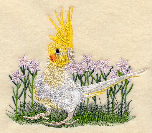 Pied Cockatiel and Flowers – Embroidery Library