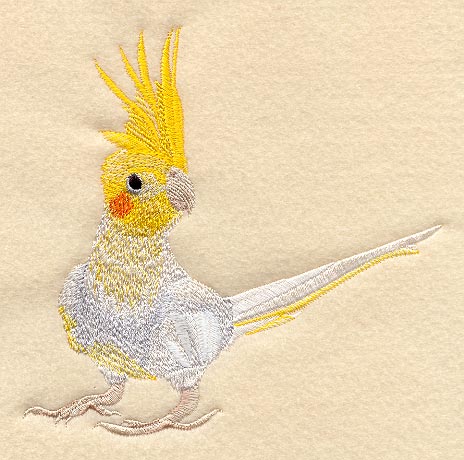 Pied Cockatiel – Embroidery Library