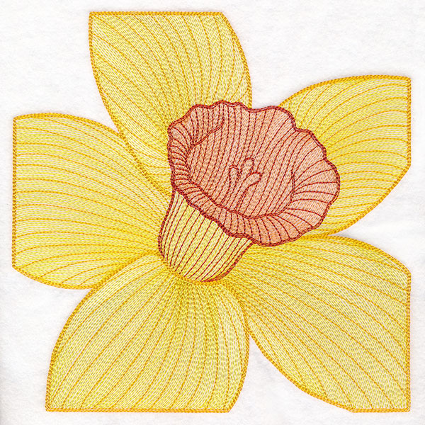 Creative Contour Macro Daffodil – Embroidery Library
