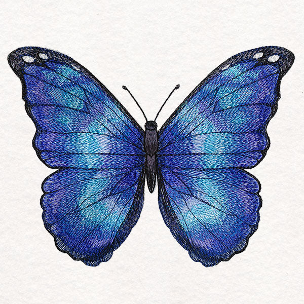 Textured & Lovely Blue Morpho Butterfly – Embroidery Library