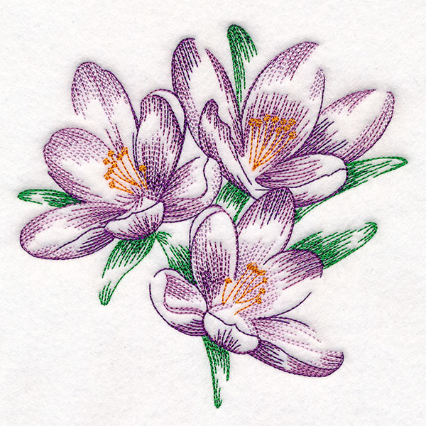 Contours of Beauty Flowers Design Pack – Embroidery Library