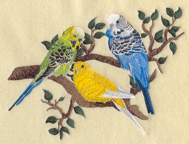 Three Budgies – Embroidery Library