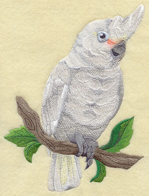 Goffin's Cockatoo – Embroidery Library