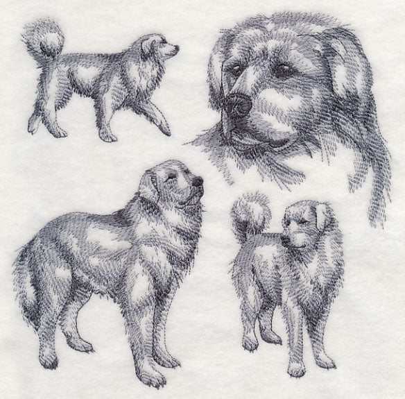 Great Pyrenees Sketch – Embroidery Library