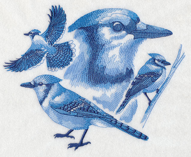 Blue Jay Sketch – Embroidery Library