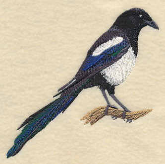 Black-Billed Magpie – Embroidery Library