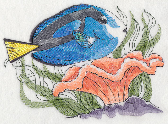 Tropical Blue Tang Sketch – Embroidery Library