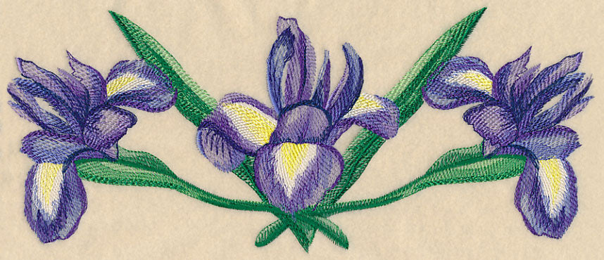 Iris Border in Watercolor – Embroidery Library