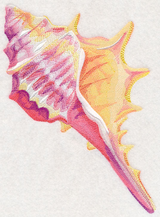 Conch Shell in Watercolor – Embroidery Library