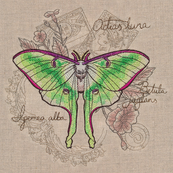 Luna Moth Collage – Embroidery Library