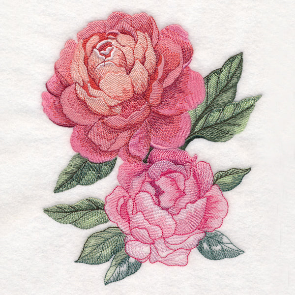 Floral Fade Peonies – Embroidery Library