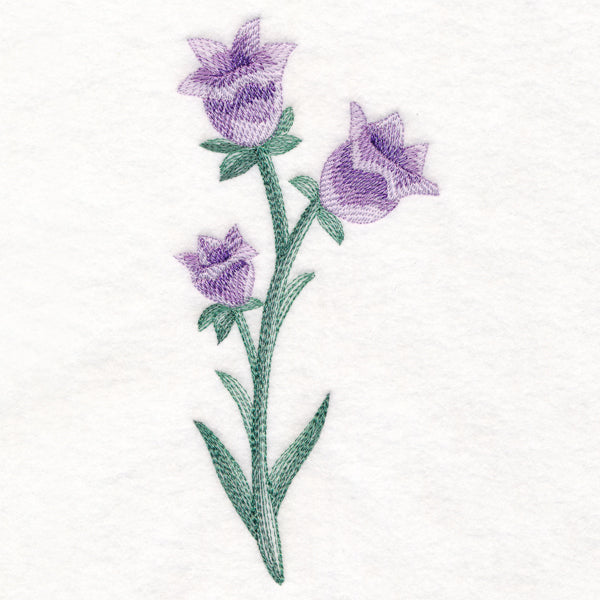 Beautiful Bellflower in Watercolor – Embroidery Library