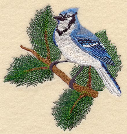 Blue Jay – Embroidery Library