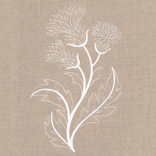 Delicate Thistle Stems – Embroidery Library