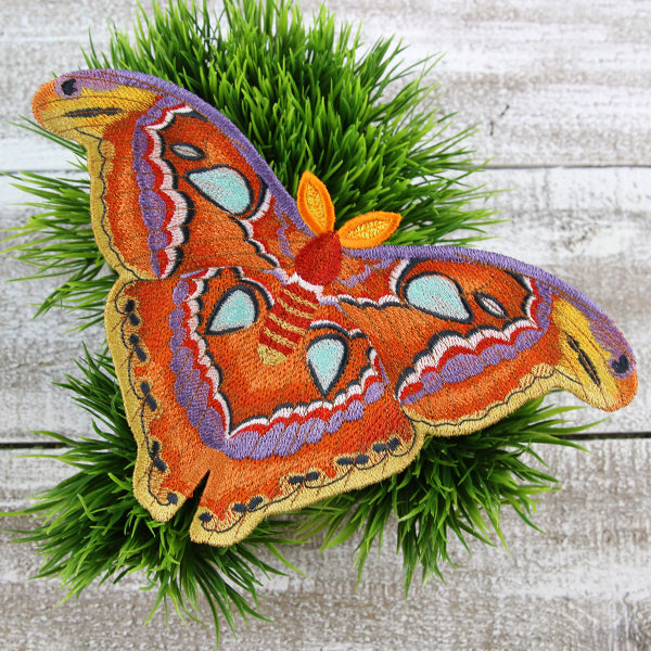 Free-Flying Atlas Moth (In-the-Hoop) – Embroidery Library
