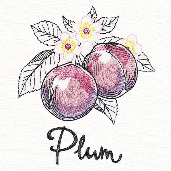 Botanical Fruits & Flowers - Plums – Embroidery Library