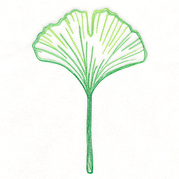 Autumn Ambience - Gingko Leaf – Embroidery Library