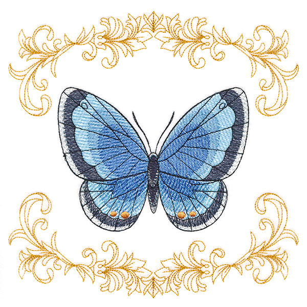 Beautiful Butterfly in Filigree – Embroidery Library