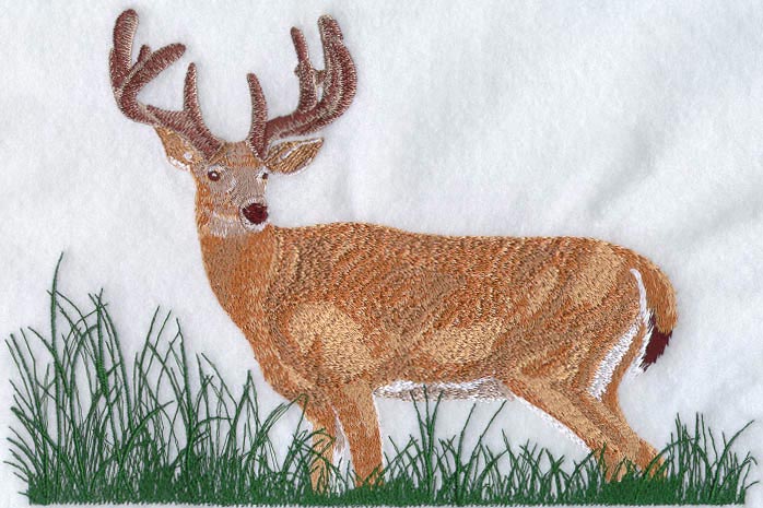 Buck – Embroidery Library
